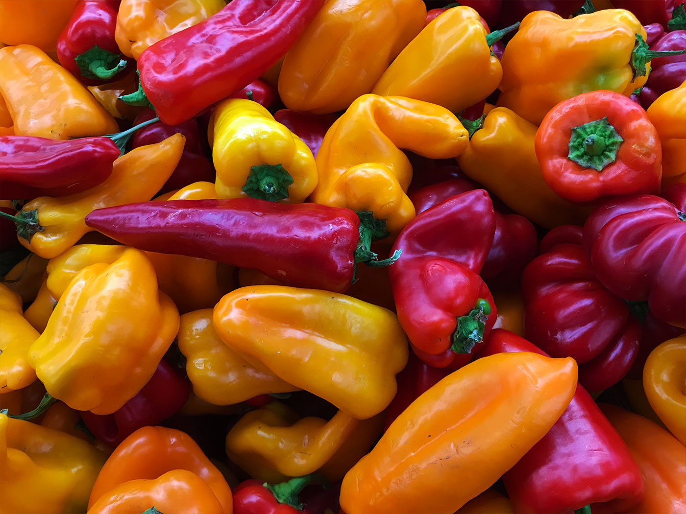 Wholesale Produce Distributor - Cooks Company