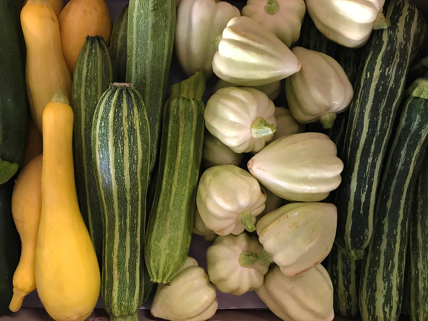 Wholesale Produce Distributor - Cooks Company