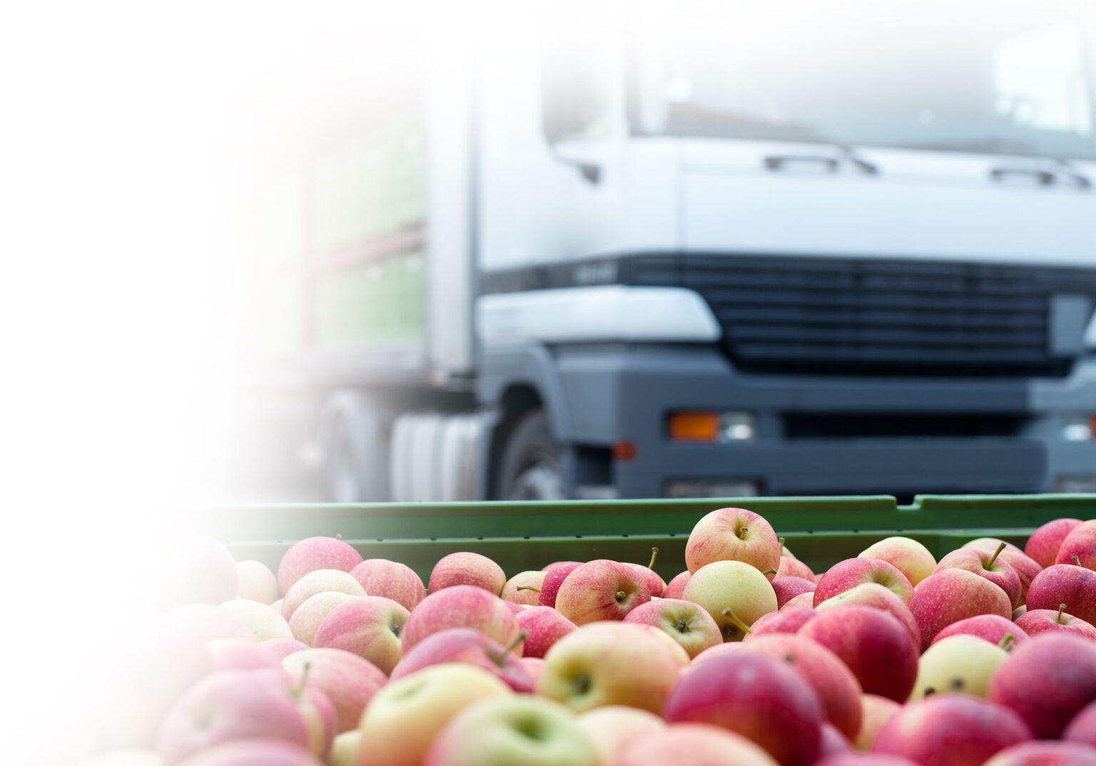 Wholesale Produce Distributor - Cooks Company